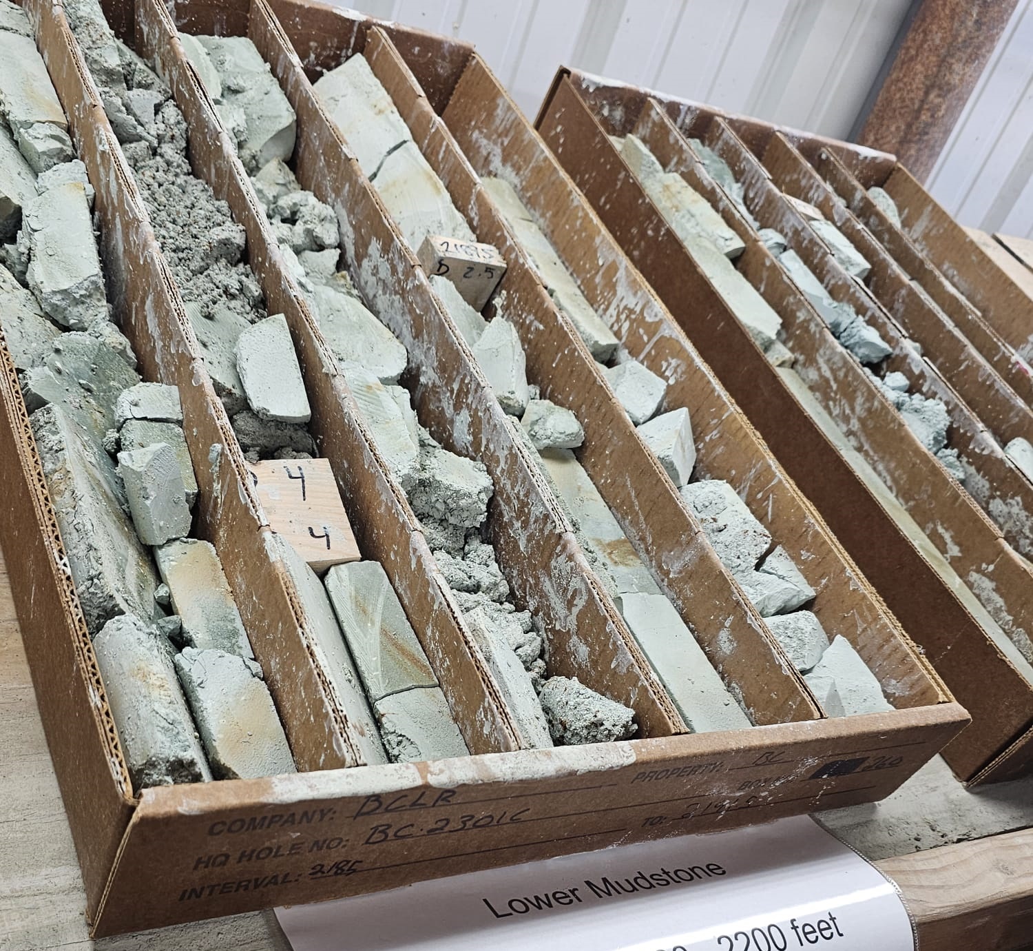 Hydraulic Borehole Mining for Bonnie Claire Lithium Deposit