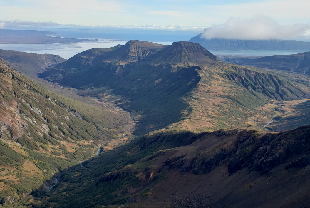 Johnson Tract: Project Deep Dive