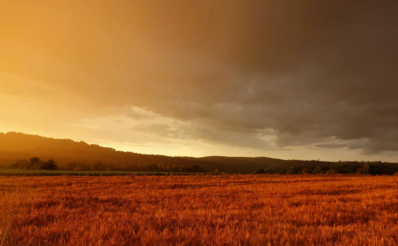 Surrounded By Gold Fields: Harvest Gold's Quebec Opportunity